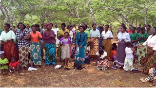 Worship Under The Trees #2