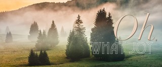 Oh, What Joy